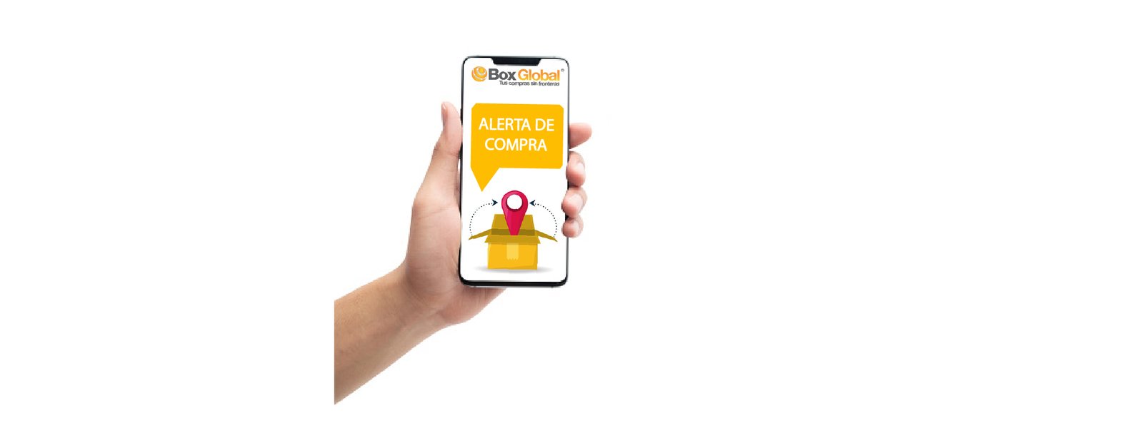 Box Global – Soluciones Logisticas